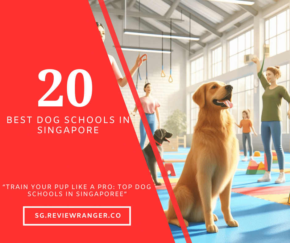20 Best Dog Schools in Singapore - SG Review Ranger
