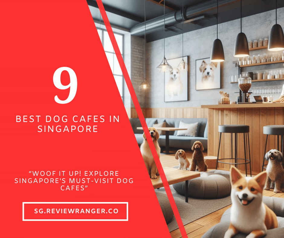 9 Best Dog Cafes in Singapore - SG Review Ranger