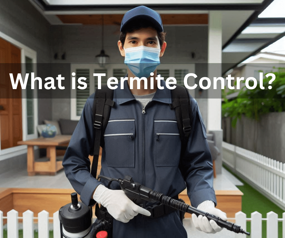 What is Termite Control? - SG Review Ranger