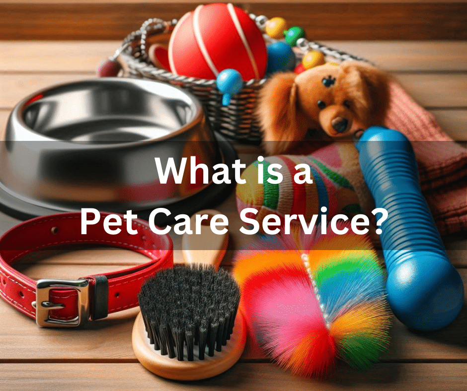 What is a Pet Care Service? - SG Review Ranger